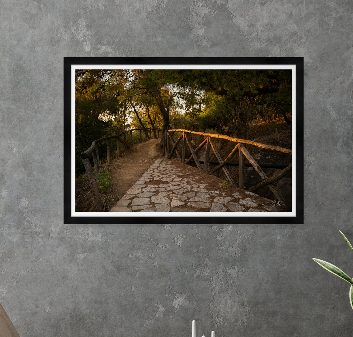 Tim Klein Photography Trail to Lycabettus by Tim Klein - Picture Frame Photograph | Wayfair